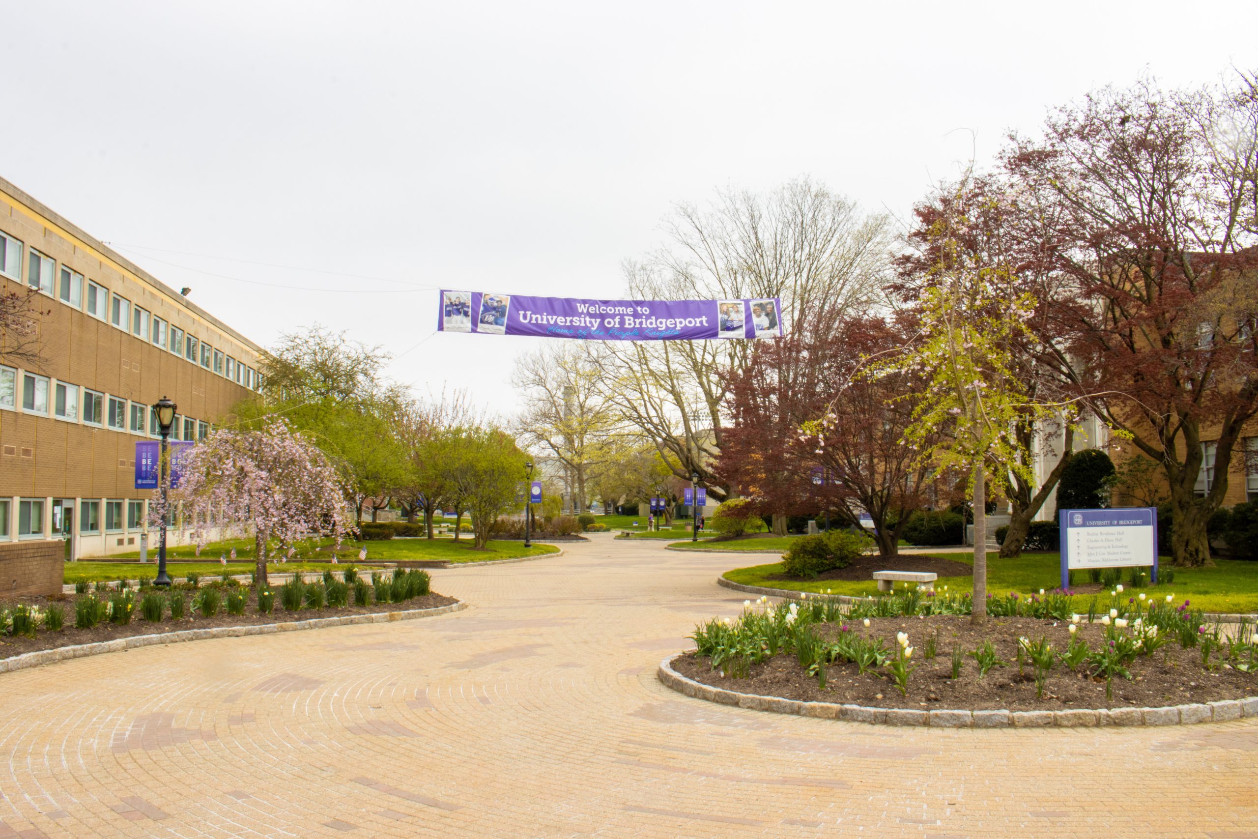 6 Tips for Parents of Teens Going to College | University of Bridgeport