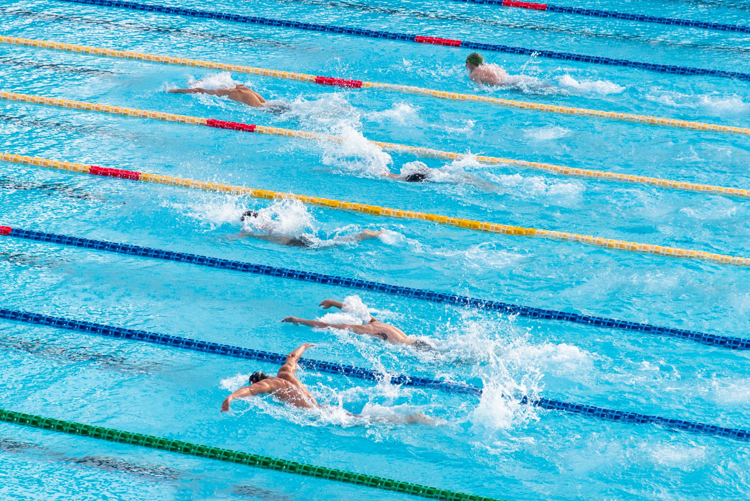 New Swimming and Diving Head Coach Announcement | University of Bridgeport