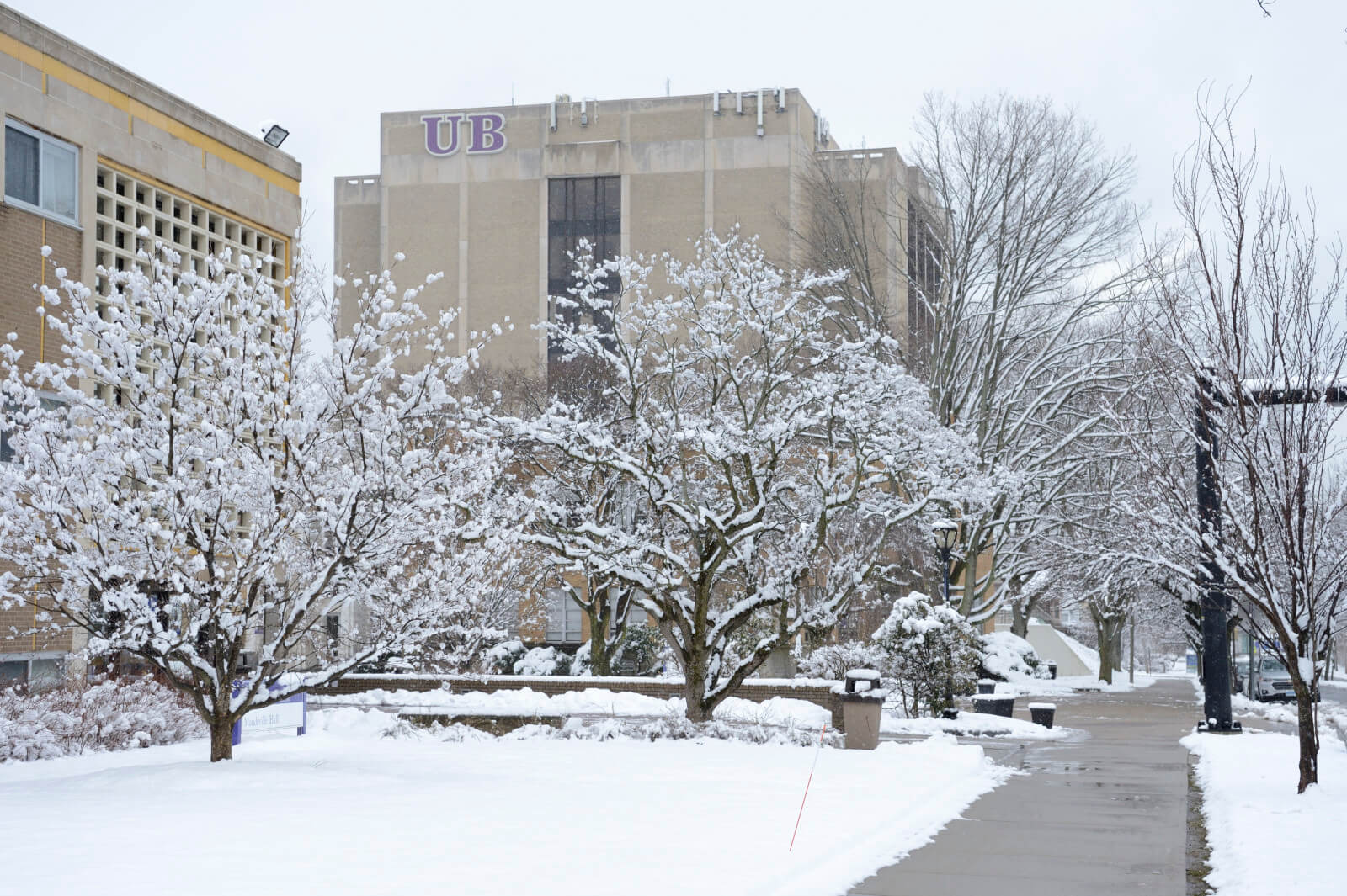 How to Survive a Snowstorm in College | University of Bridgeport